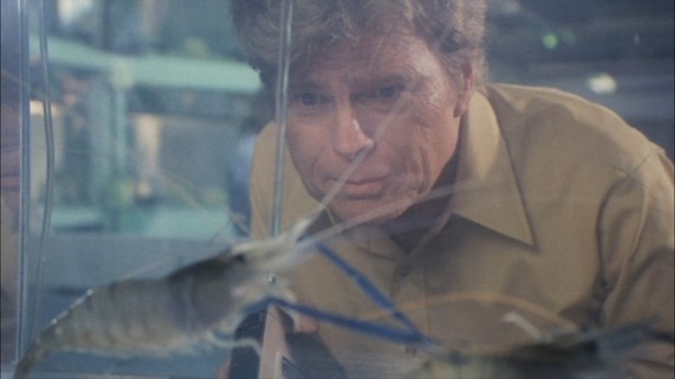 Island Claws (1980) – Movie & Blu-ray Review – Horror And Sons