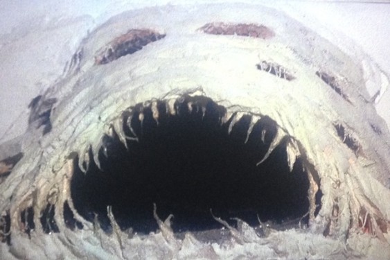 Contamination (1980) Blu-ray Review -aka Alien Contamination – Horror ...