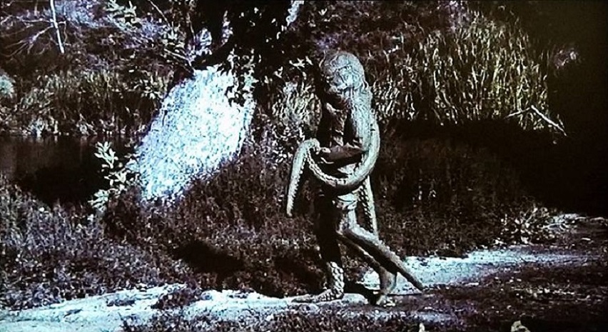 Octaman (1971) Blu-ray Review + The Cremators (1972) Review – Horror ...