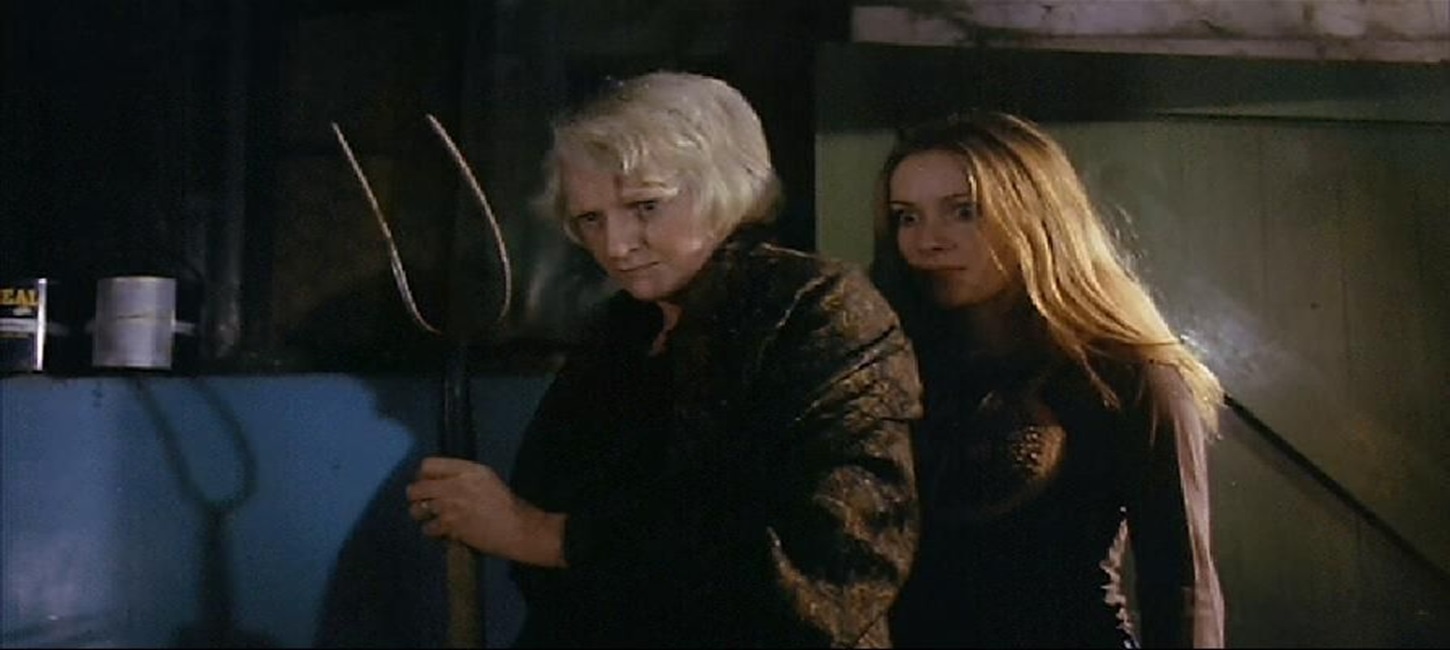 Halloween Horrors 2024: Day Fourteen – Bill Van Ryn on “Frightmare ...